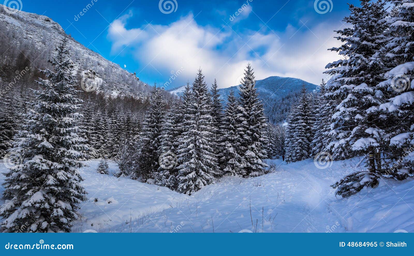 Snowy Mountain Path in Winter Stock Image - Image of natural, december ...