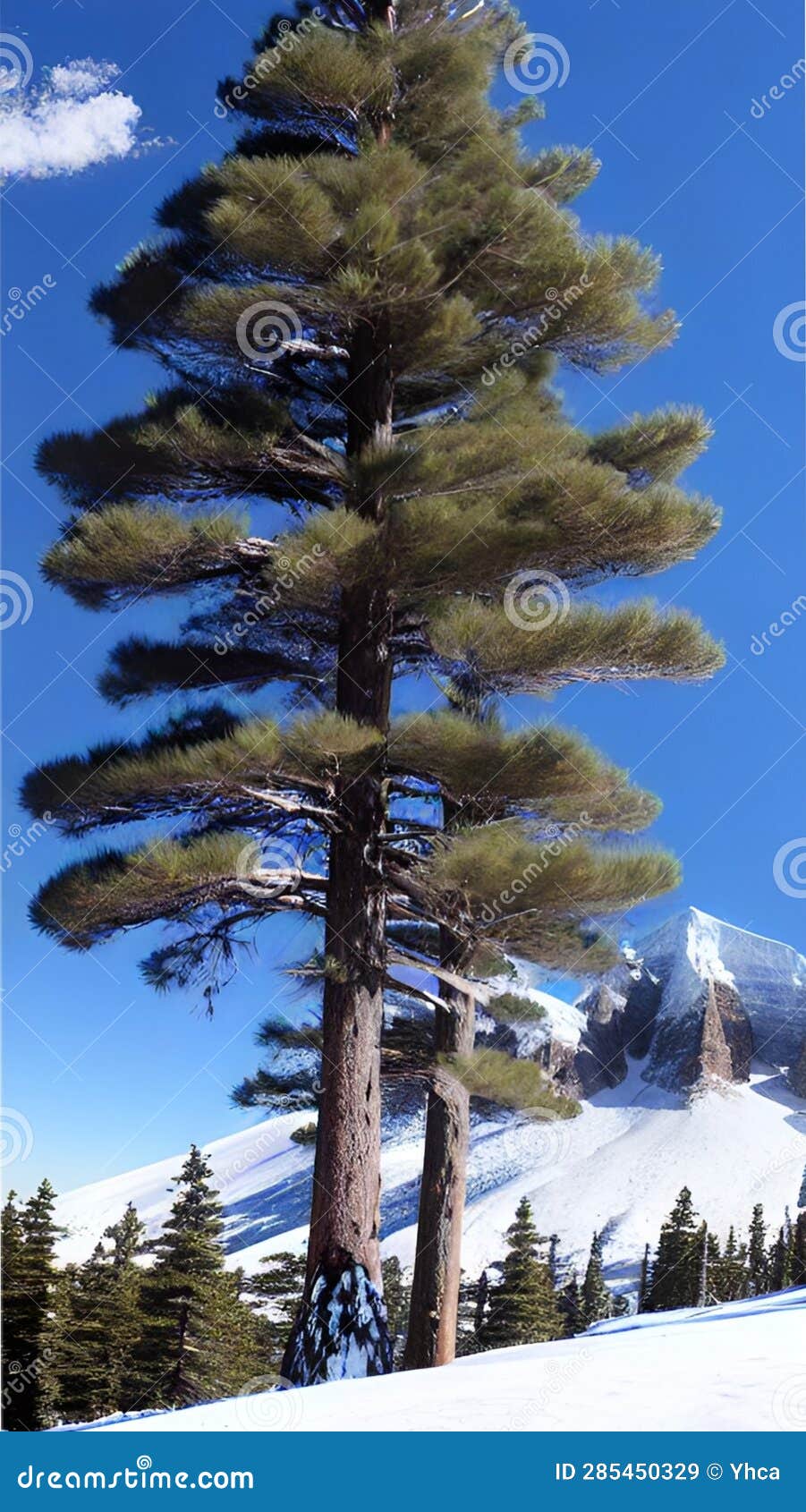Snowy Mountain Peak with Pine Trees and Clear Sky Illustration Artificial Intelligence Artwork ...