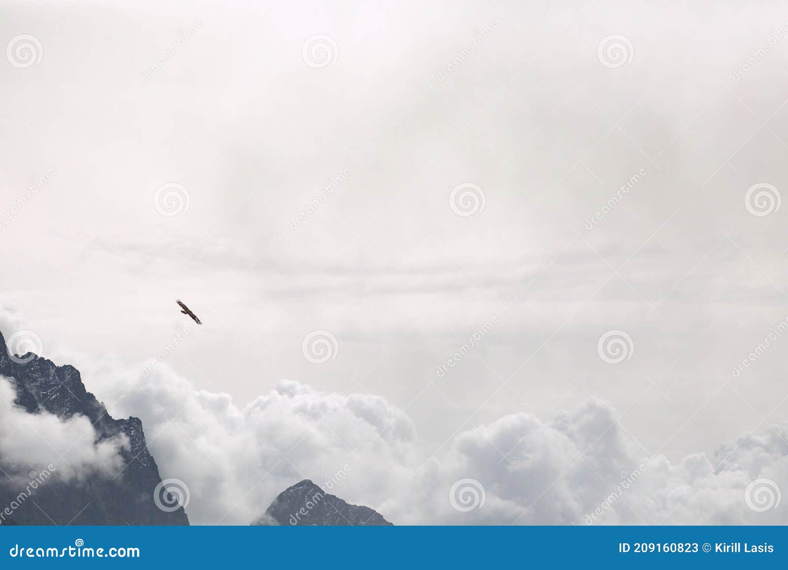 Snowy Mountain Range and Soaring Eagle in the Clouds. Caucasus, Russia ...