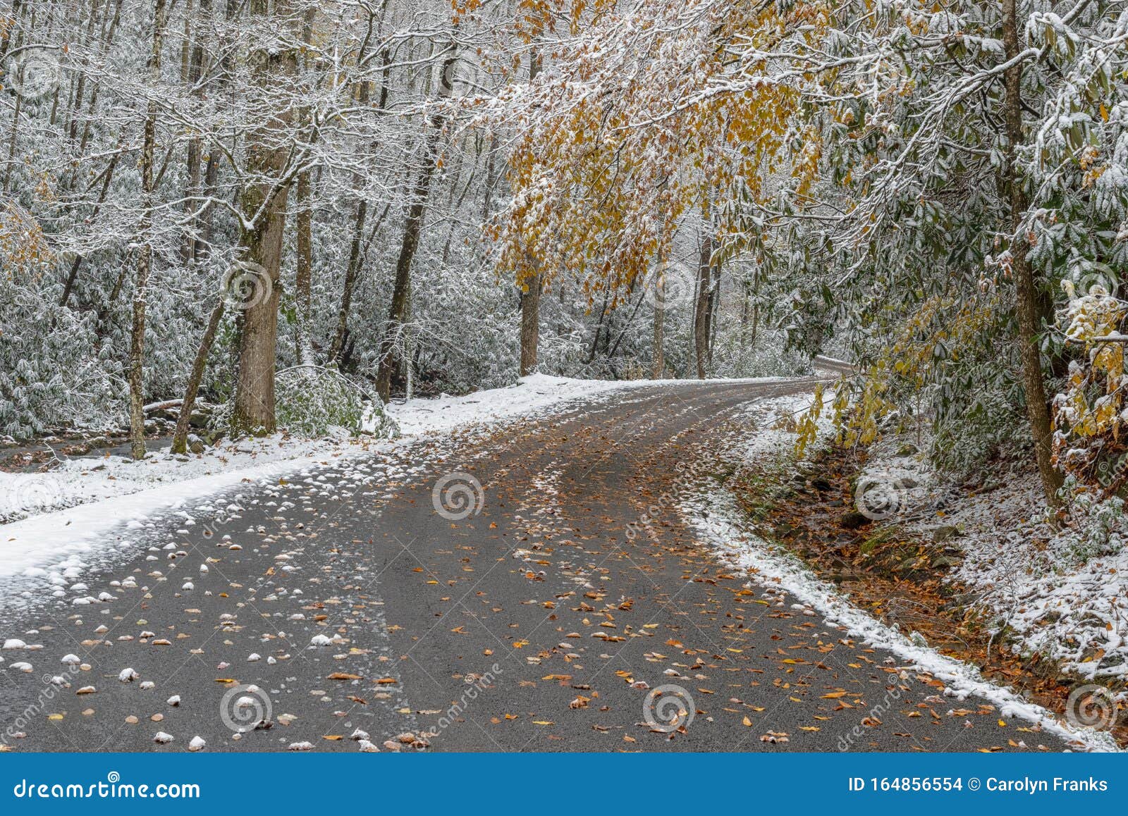 Snowy Mountain Road stock photo. Image of people, cold - 164856554
