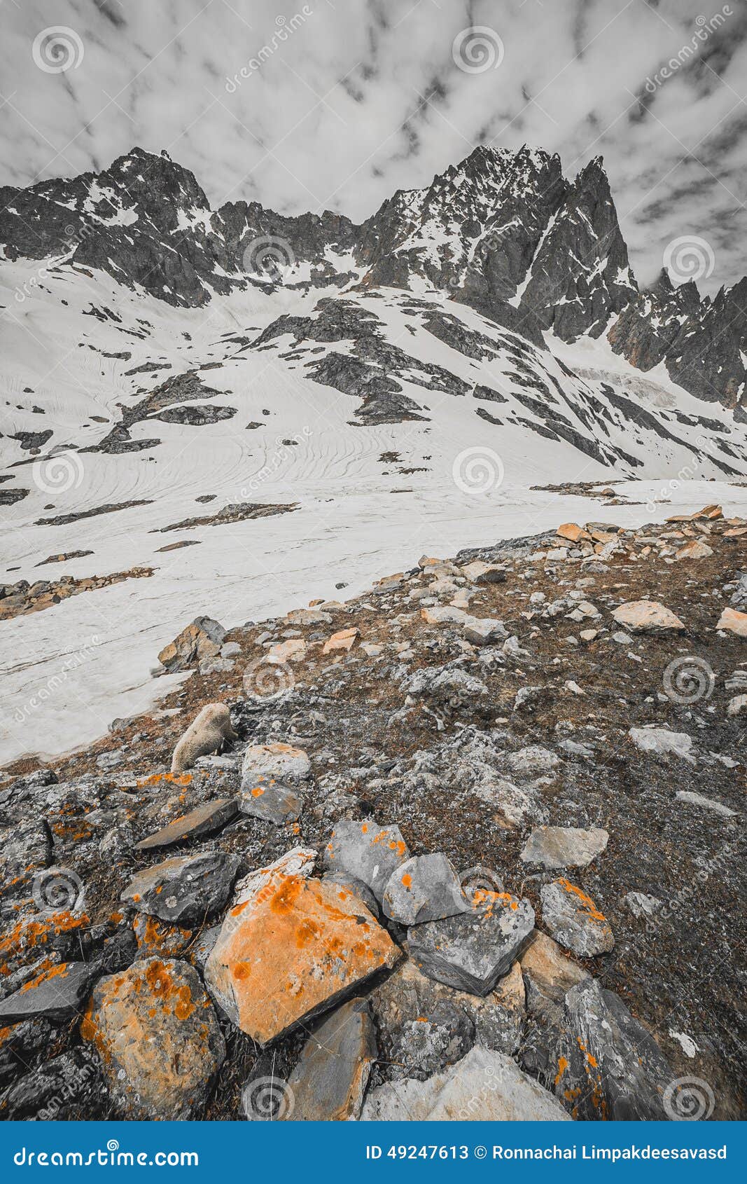Snowy mountain rock stock image. Image of cloudscape - 49247613
