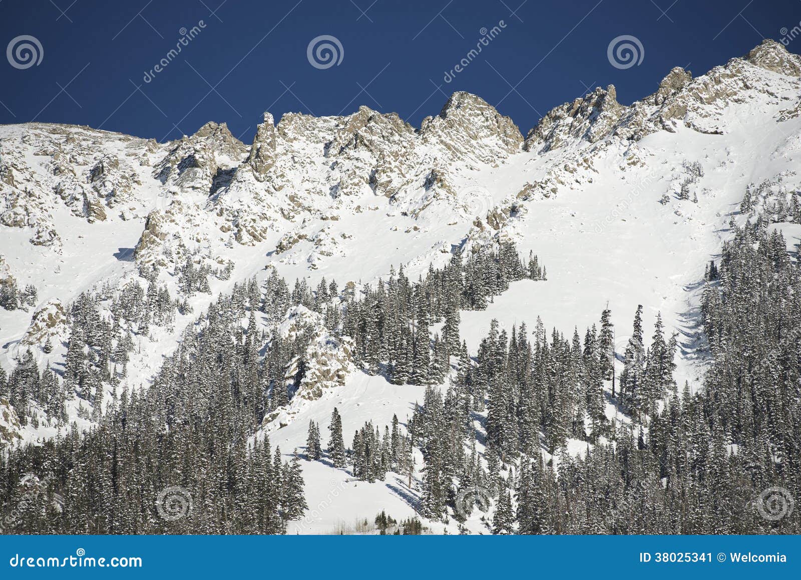 Snowy Mountain Summit stock image. Image of range, forest - 38025341