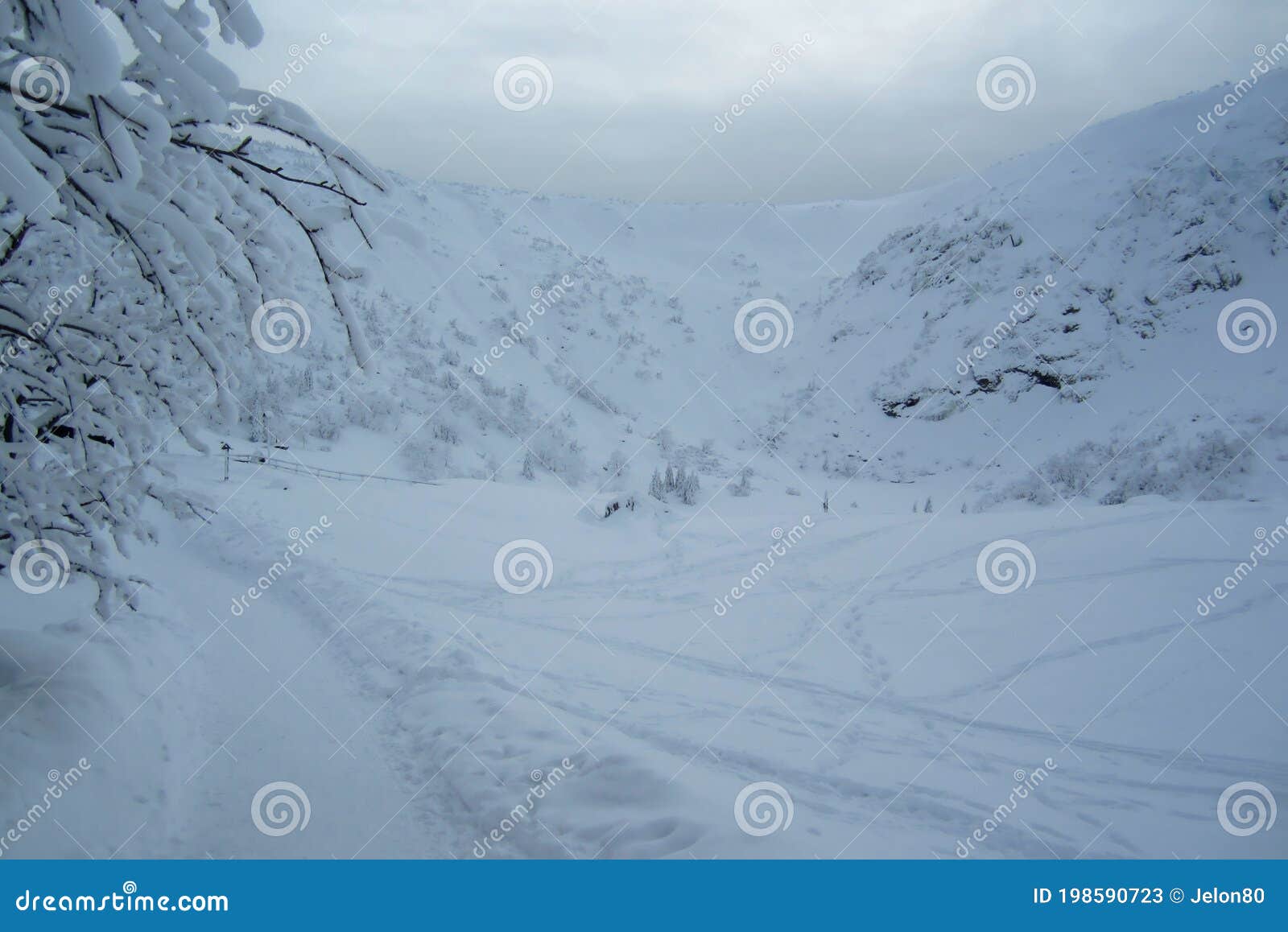 A snowy mountain trail stock image. Image of trail, forest - 198590723