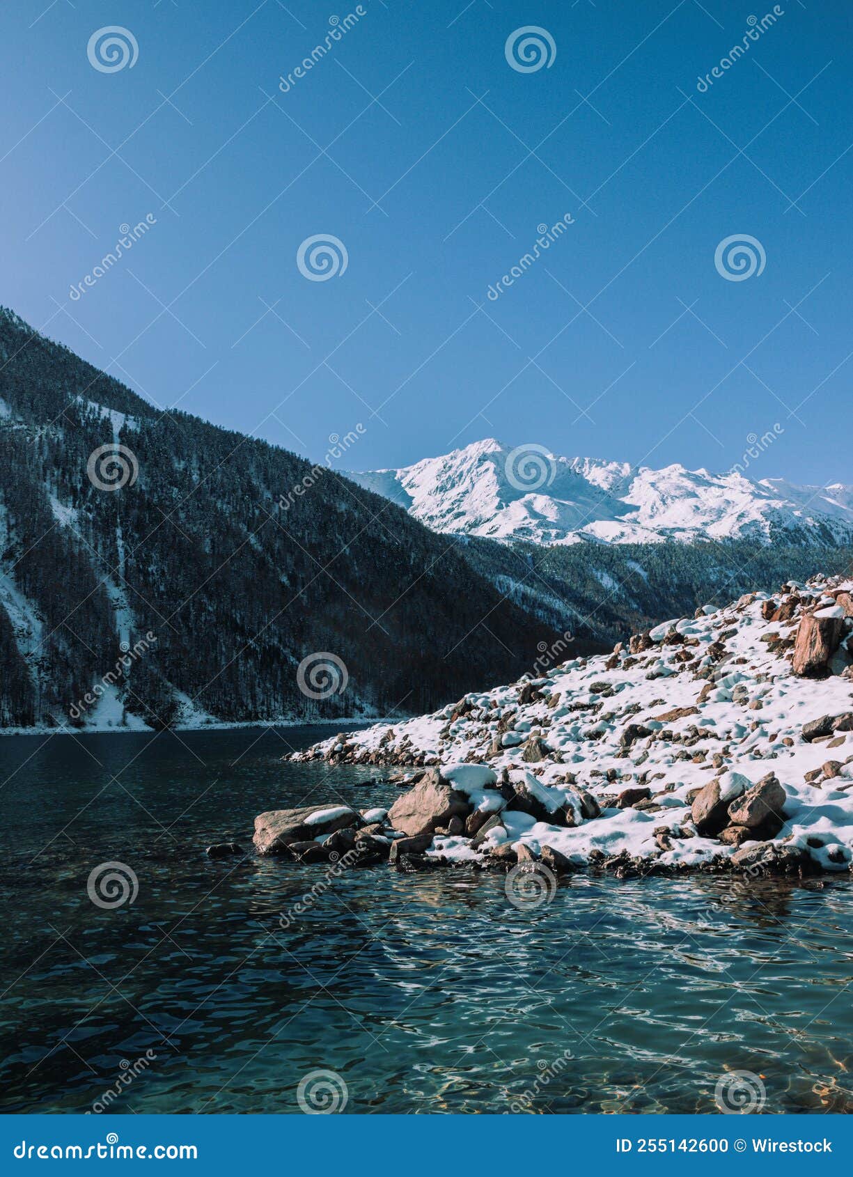 Mountains near the river stock photo. Image of himalaya - 255142600