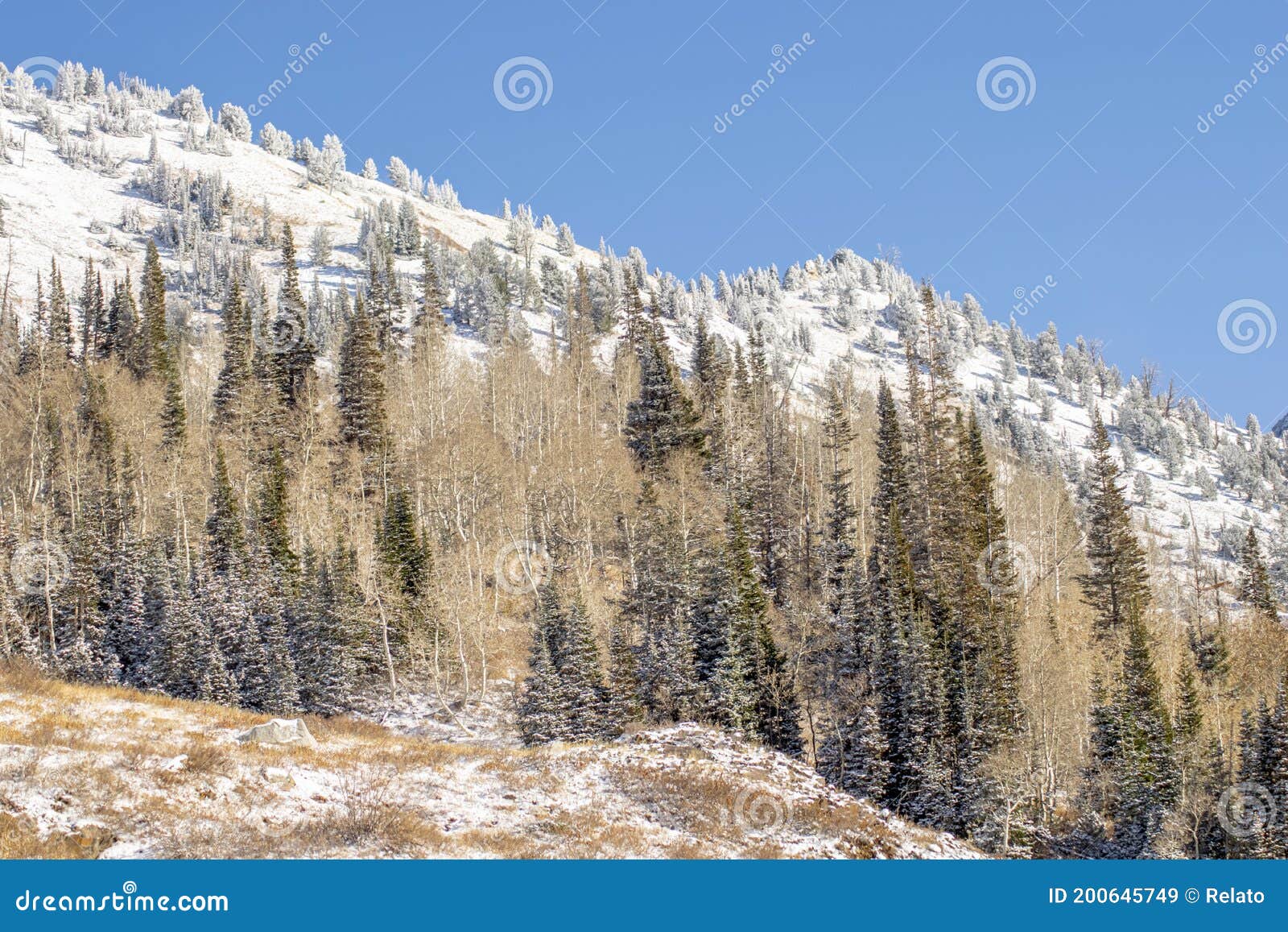 Snowy Mountains, First Snow in Utah. Stock Image - Image of highest ...