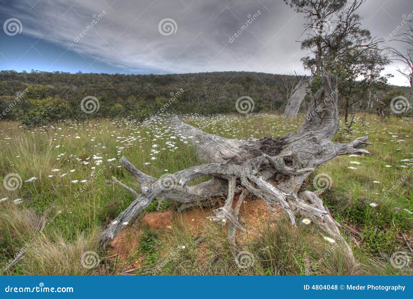 Snowy Mountains in Summer Time Stock Photo - Image of mountain, green ...