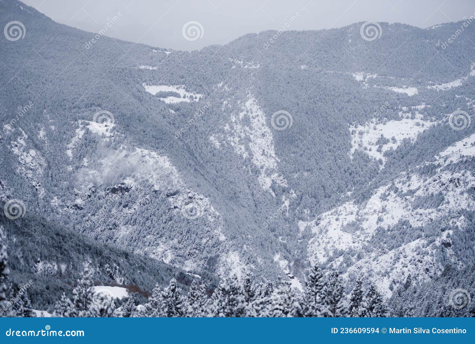 Snowy Mountains in Winter in the Pyrenees Stock Photo - Image of forest ...
