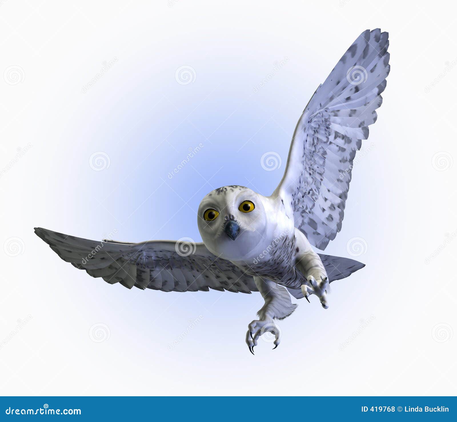 Snowy Owl Swooping Down - Includes Clipping Path Stock Illustration ...