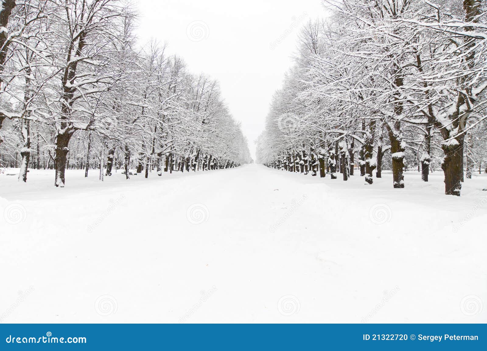 Snowy park stock photo. Image of light, scenic, russia - 21322720