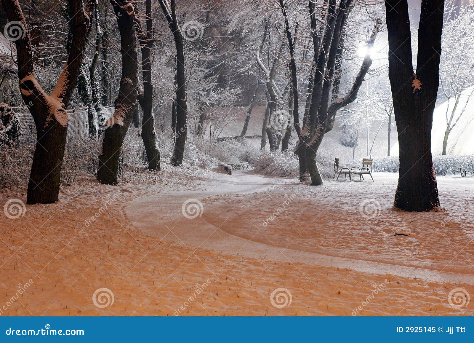 Snowy park stock image. Image of scenery, nature, snowy - 2925145