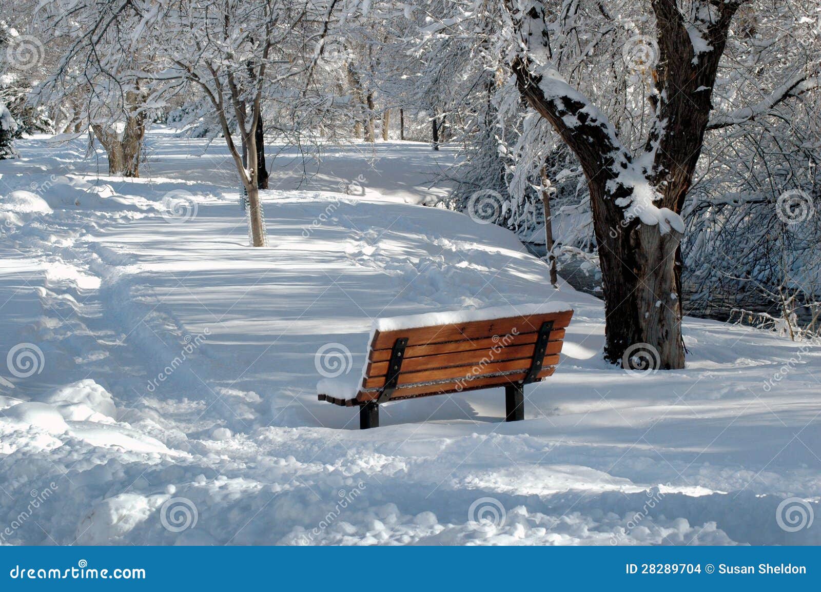 Snowy park bench stock photo. Image of seasonal, snow - 28289704
