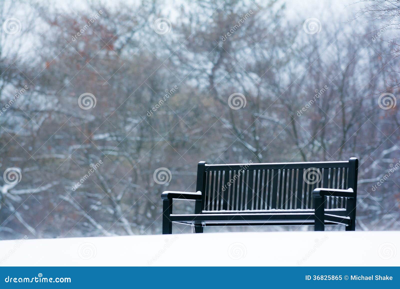 Snowy Park Bench stock image. Image of frozen, bench - 36825865