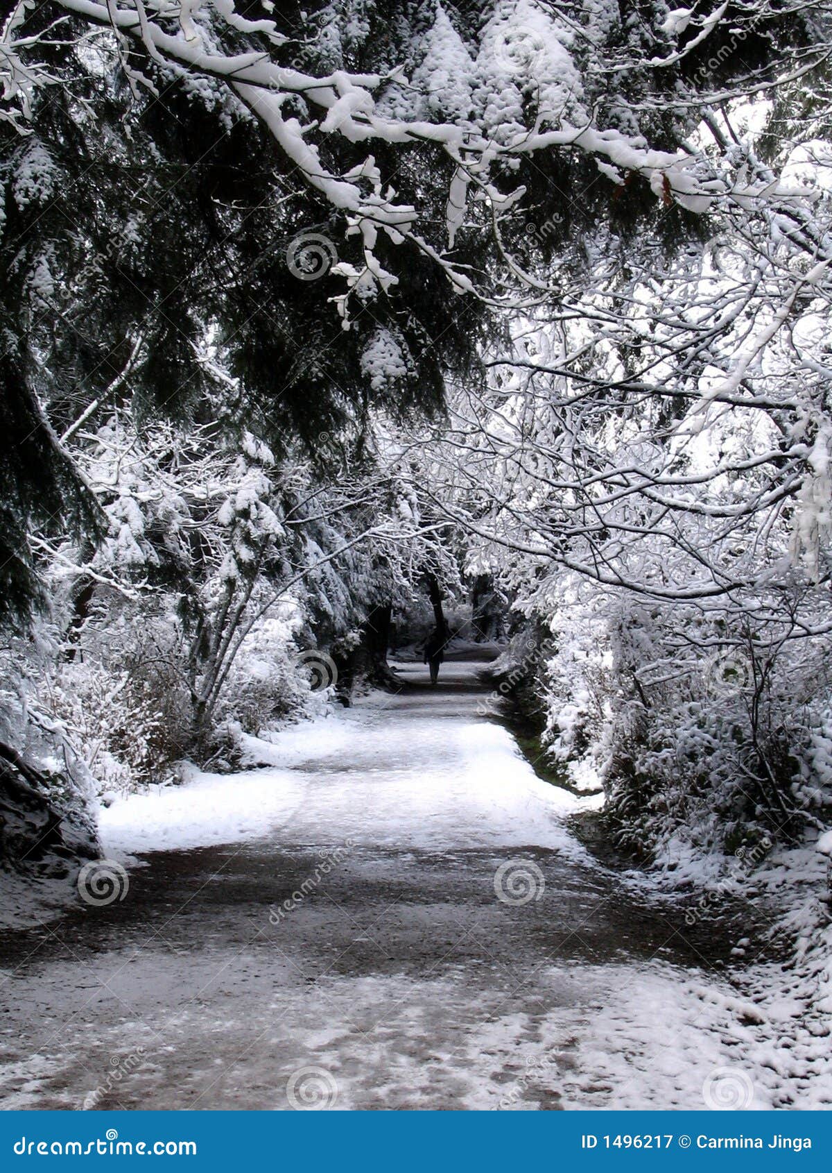 Snowy park trail stock image. Image of blank, aley, park - 1496217