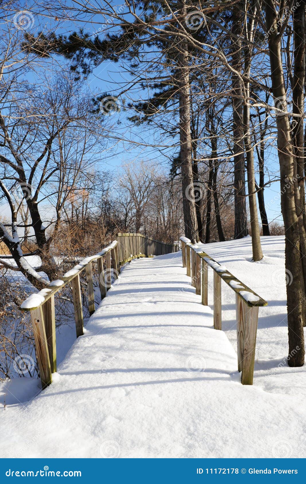 Snowy Path stock photo. Image of covered, boardwalk, freezing - 11172178