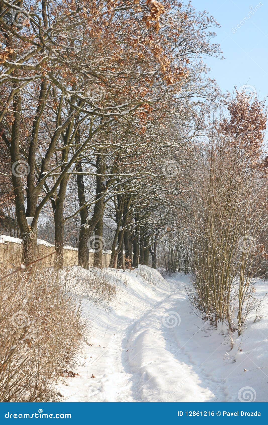 Snowy path stock photo. Image of fresh, park, scenic - 12861216