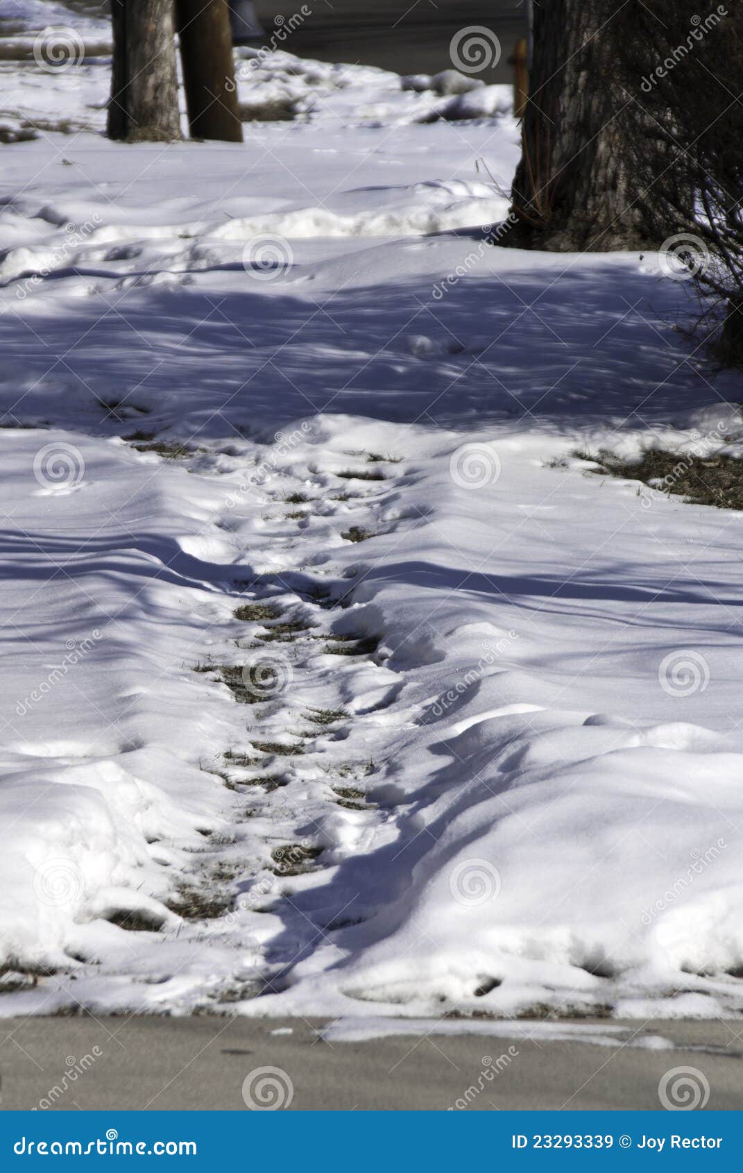 Snowy Path stock image. Image of blue, white, winter - 23293339