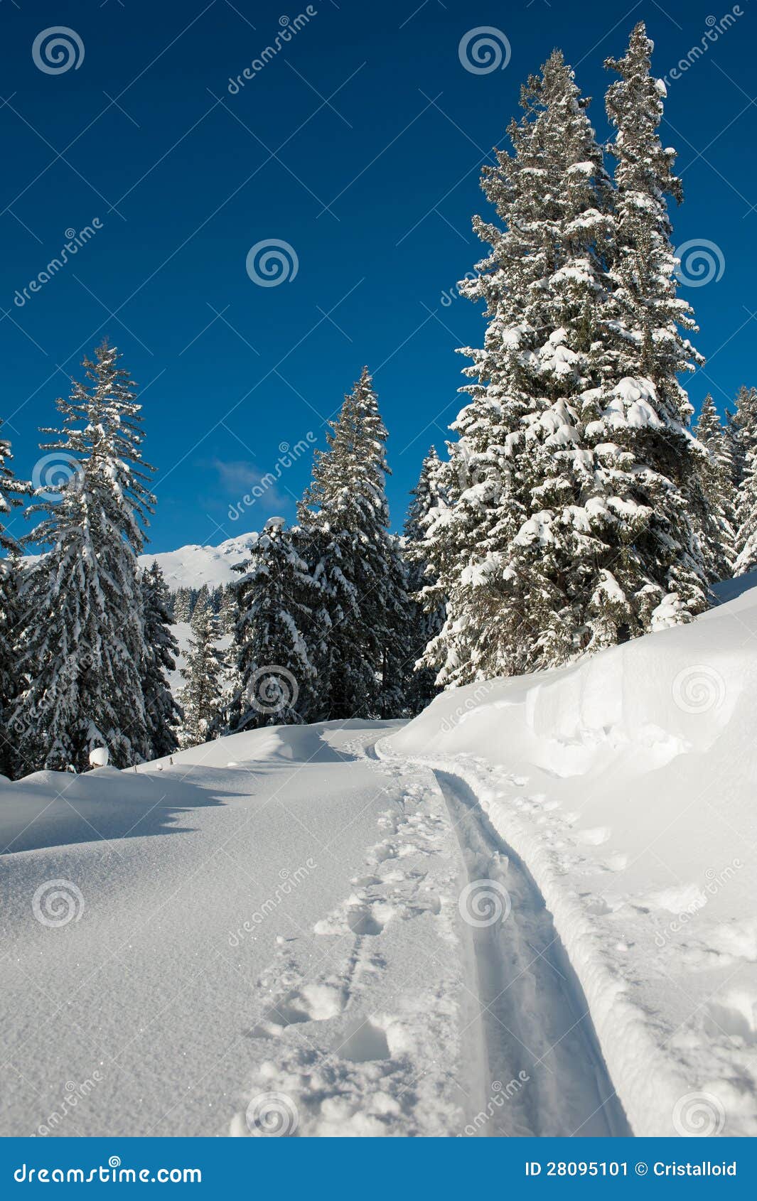 Snowy path stock image. Image of landscape, hiking, europe - 28095101