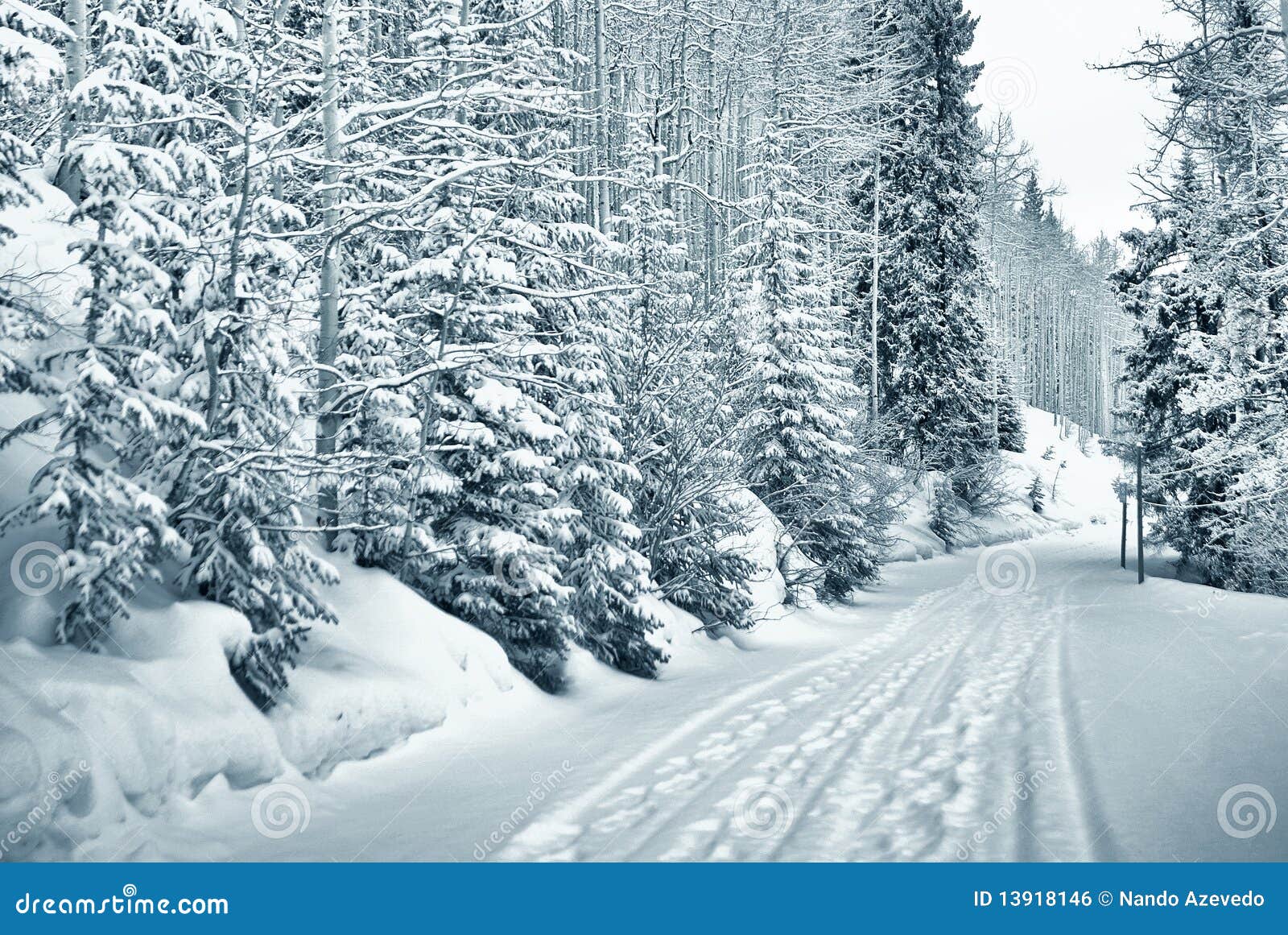 Snowy path 4 of 9 stock photo. Image of mountain, landscape - 13918146