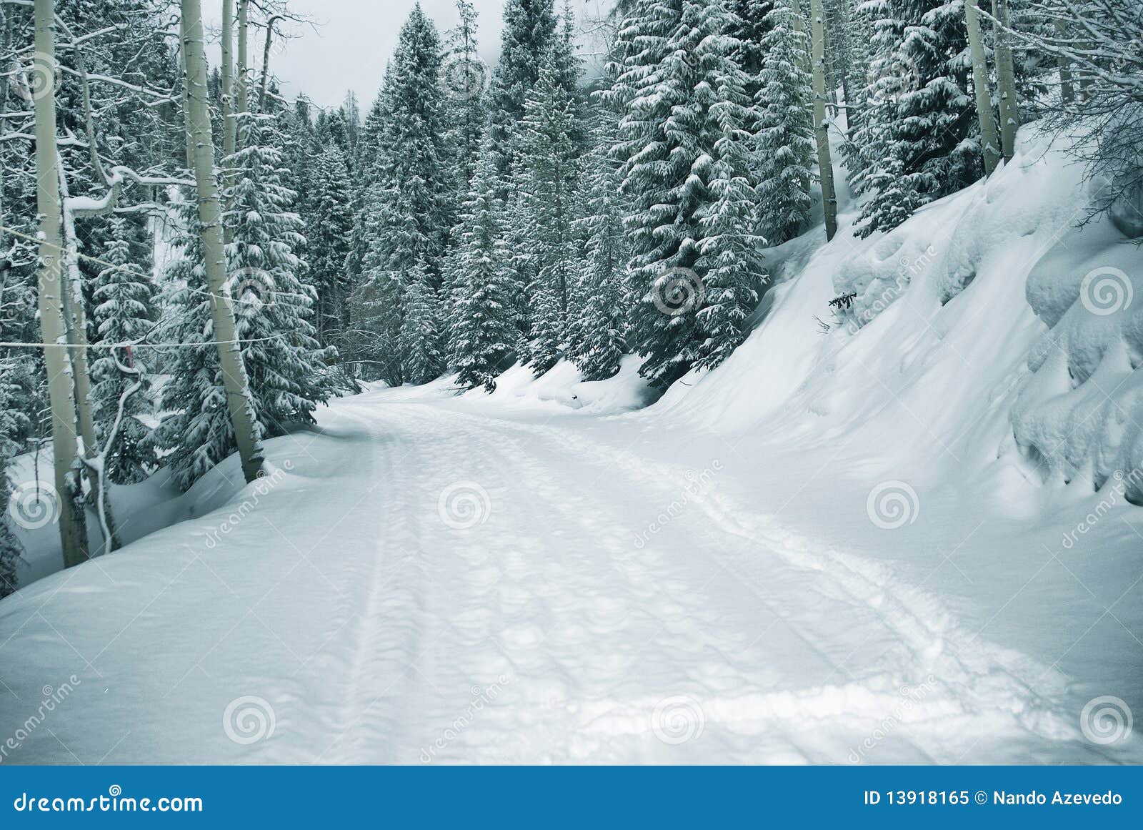 Snowy path 5 of 9 stock image. Image of frosty, foot - 13918165