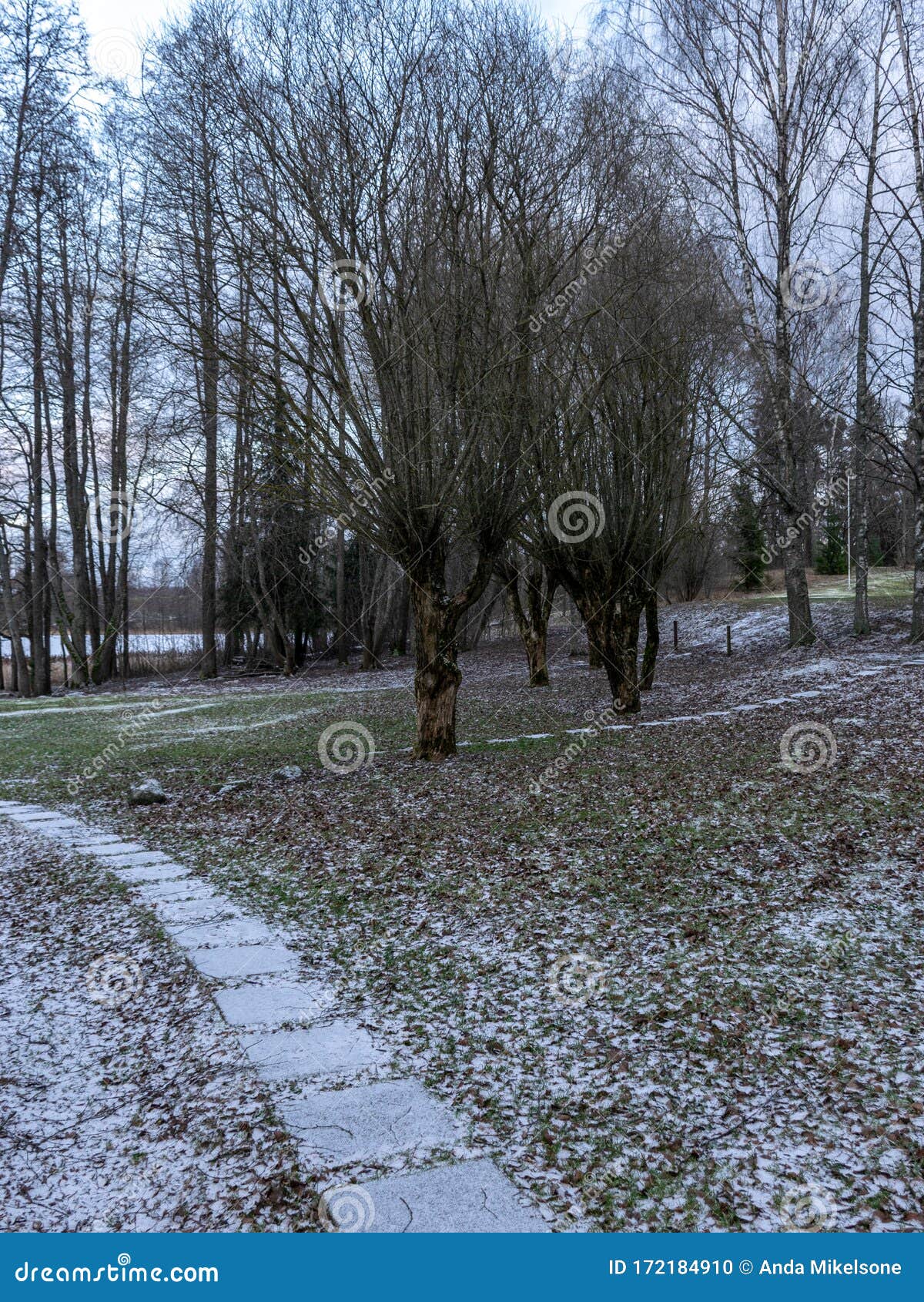 Snowy Path in the Backyard of the House Stock Photo - Image of road ...