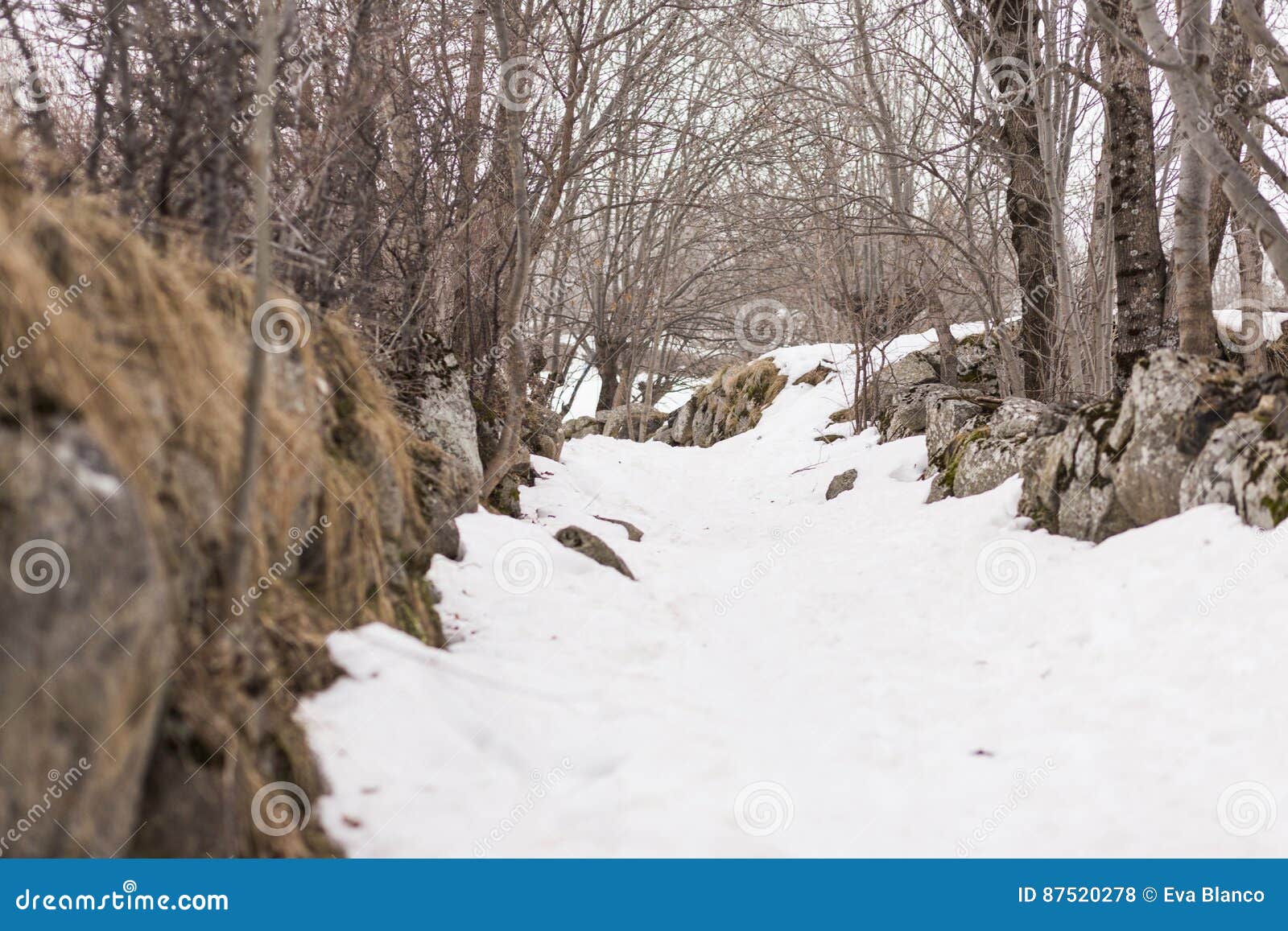 Snowy Path in the Mountain with Rocks Stock Photo - Image of hill ...