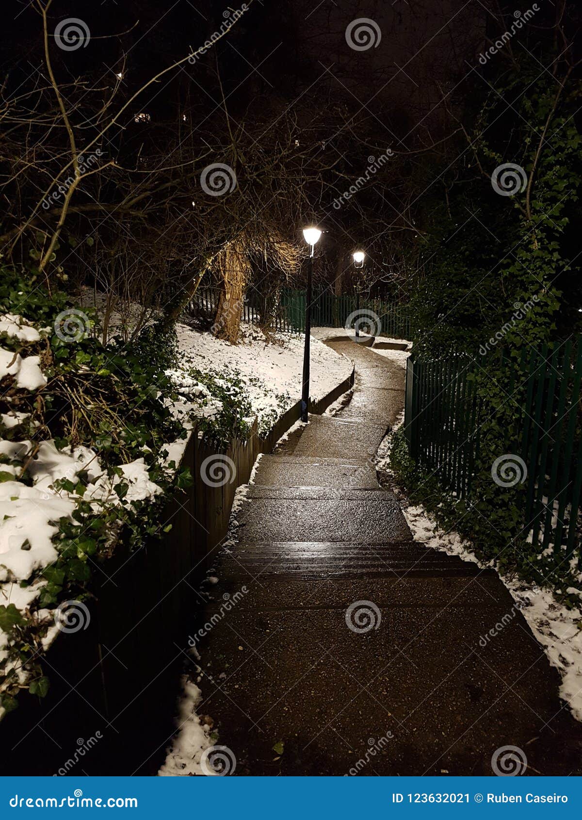 Snowy path at night time stock image. Image of evening - 123632021