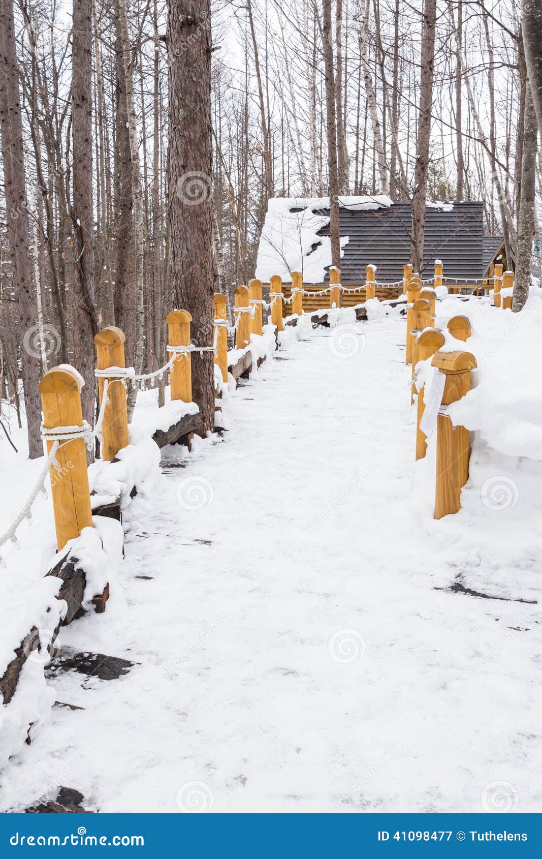 Snowy Path through Snow-covered Stock Image - Image of december, park ...