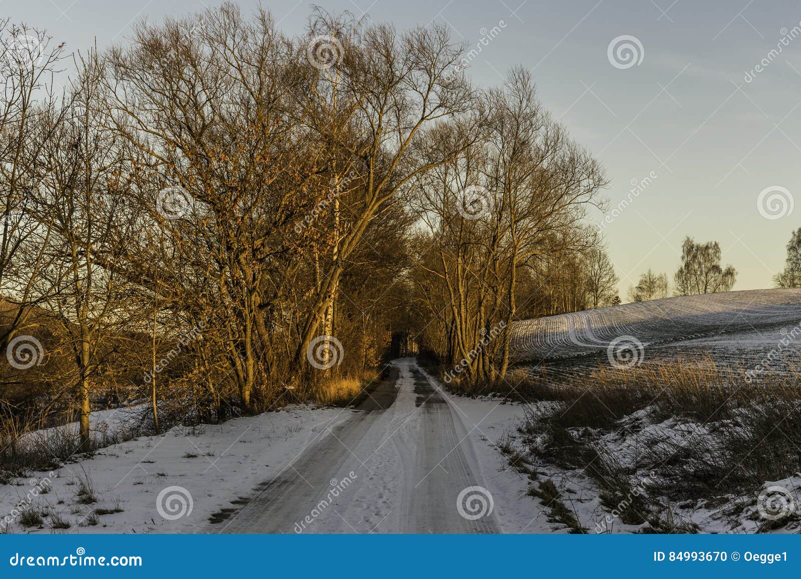 Snowy path in sunlight stock photo. Image of road, path - 84993670