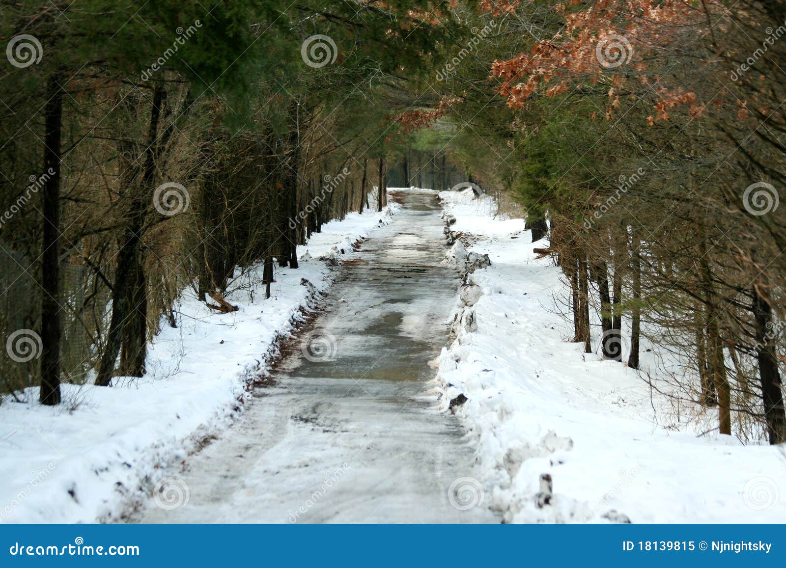 Snowy Path Throught The Woods Royalty Free Stock Photo - Image: 18139815