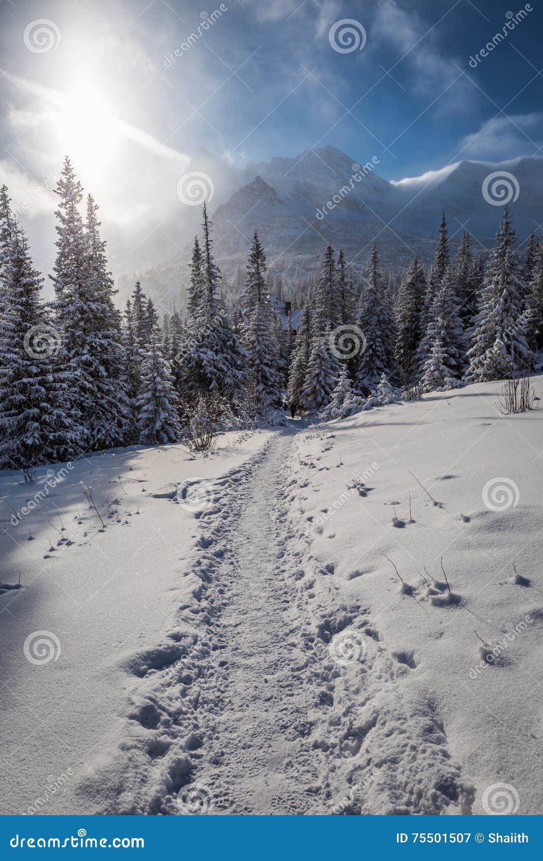 Snowy Path To the Winter Shelter in the Mountains Stock Image - Image ...
