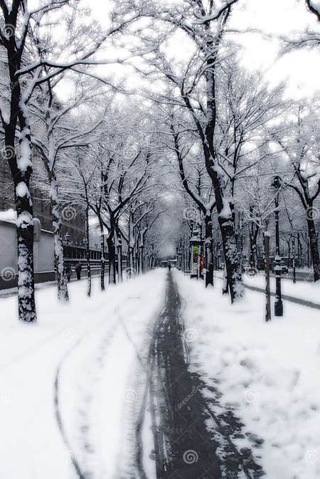 Snowy path in Vienna stock photo. Image of city, stroll - 1298304