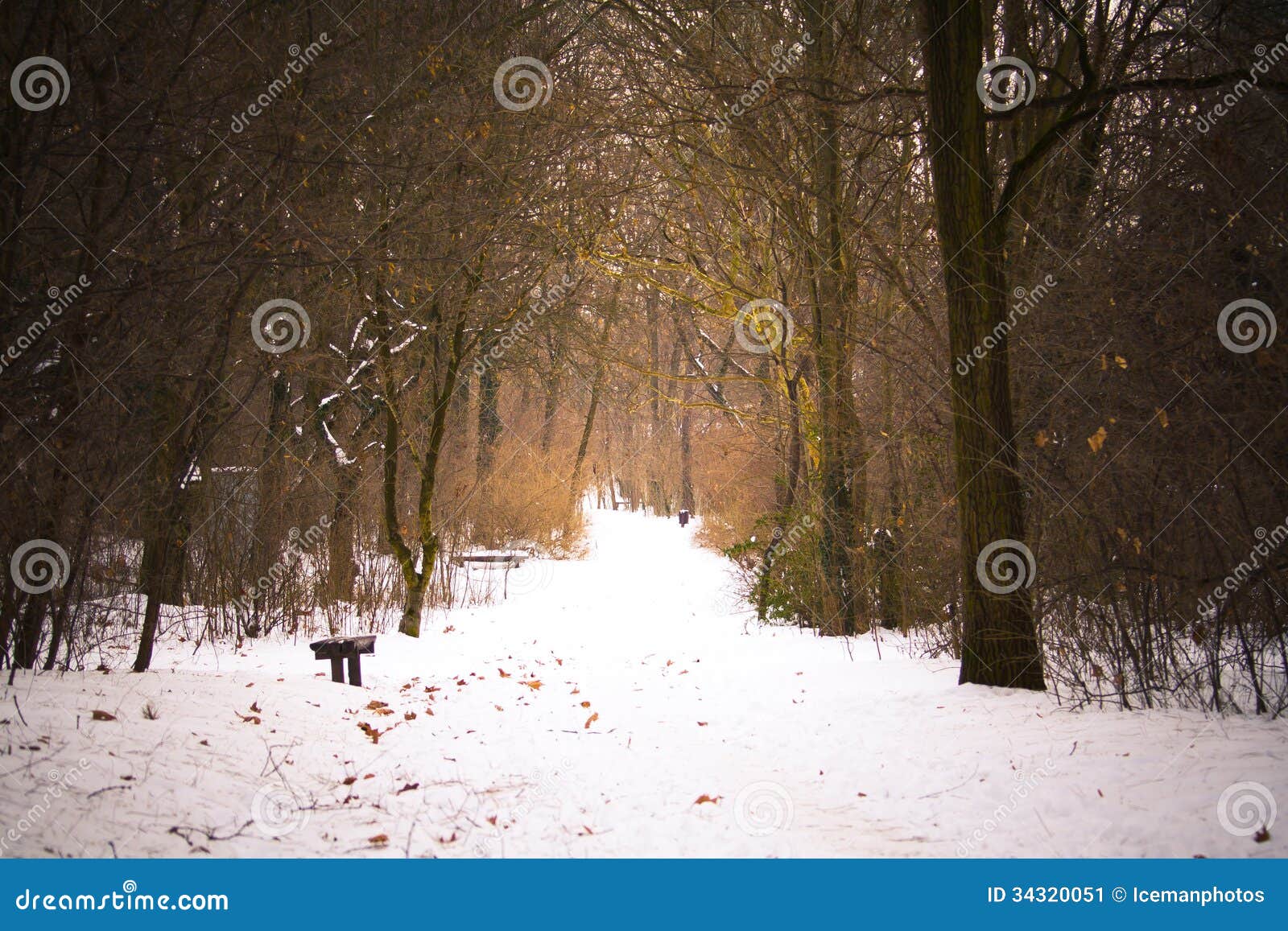 Snowy path in winter stock image. Image of road, forest - 34320051
