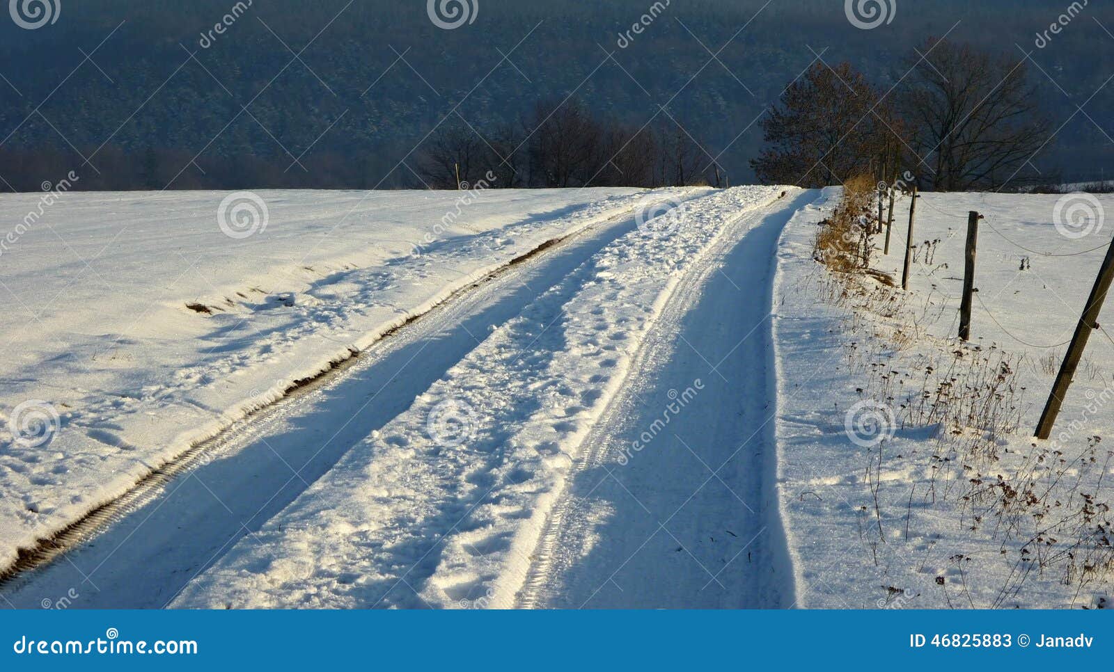 Snowy path stock image. Image of outdoor, snowy, environment - 46825883