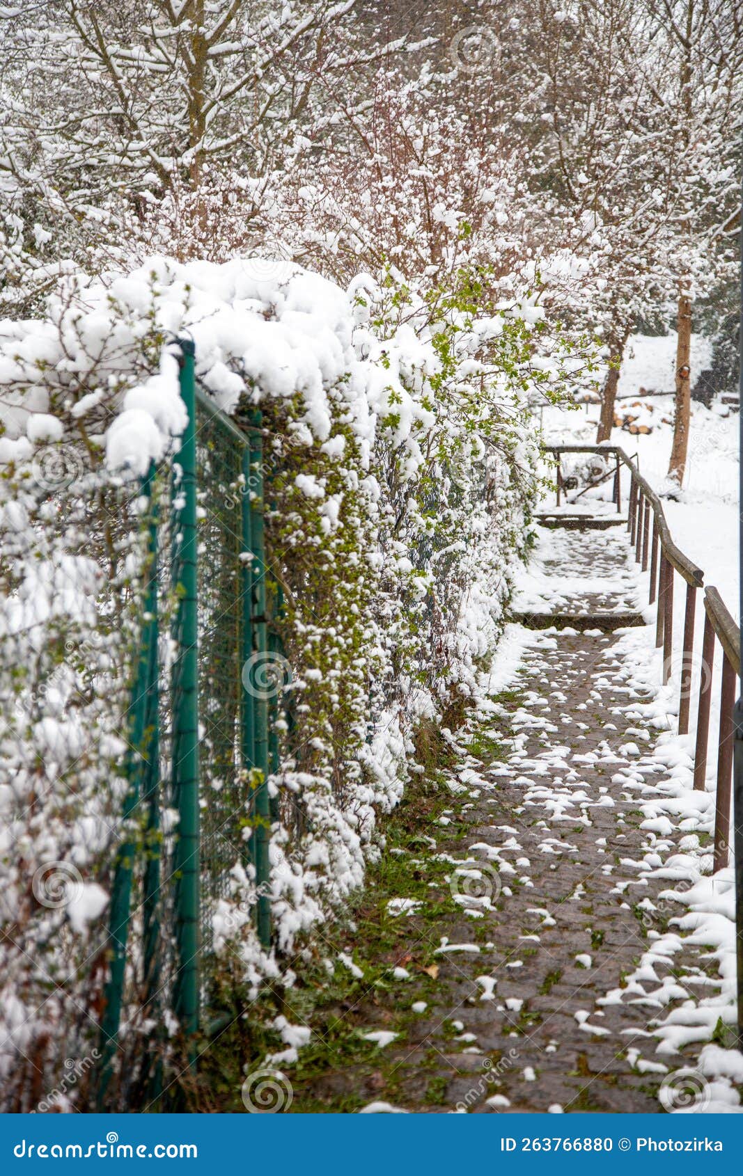 A Snowy Path in a Winter Park Stock Photo - Image of freezing, season ...