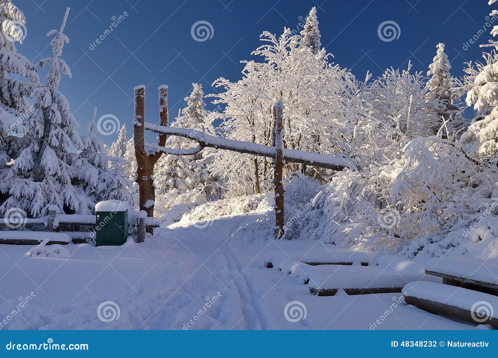 Snowy path stock photo. Image of mountains, trees, blue - 48348232