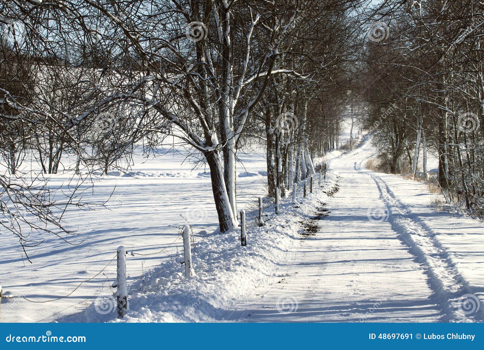 Snowy path in winter stock image. Image of forest, snowy - 48697691