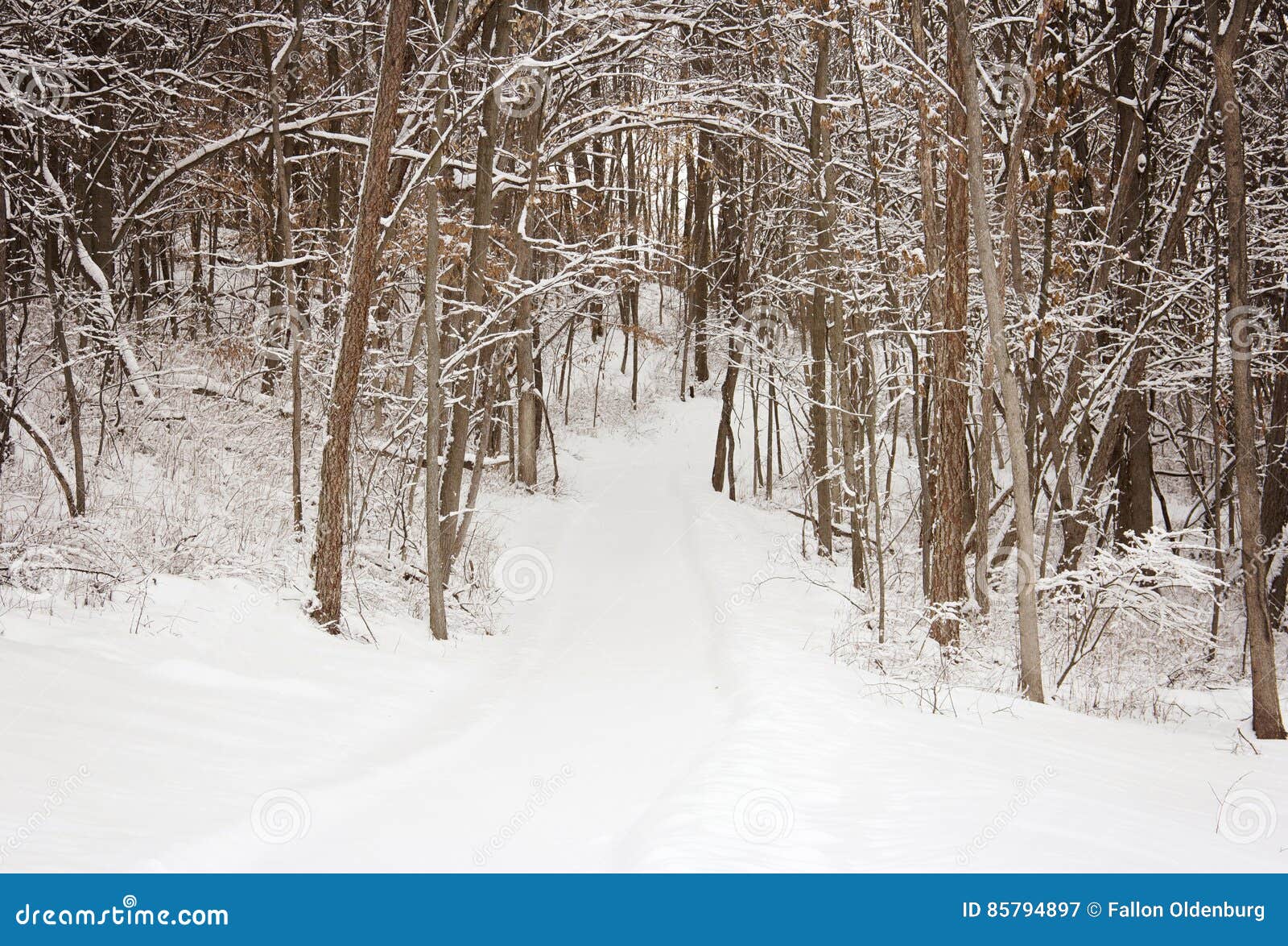 Snowy path stock image. Image of romantic, sports, oldenburg - 85794897