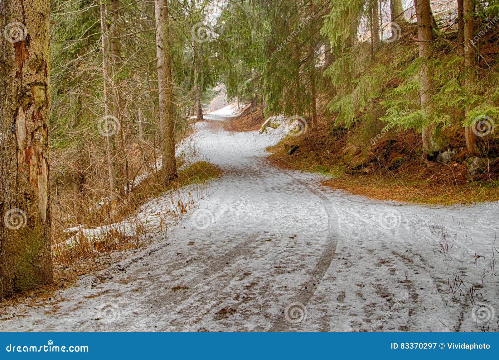 Snowy Pathway in the Dolomites Stock Image - Image of nature, mountain ...