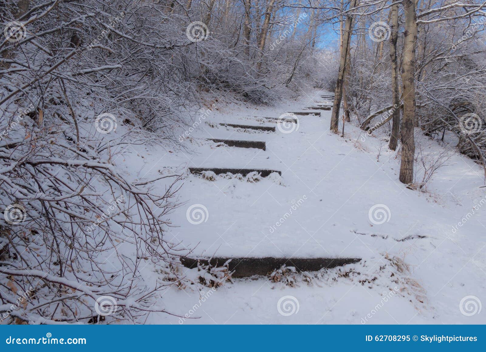 Snowy Pathway stock image. Image of woods, trail, season - 62708295