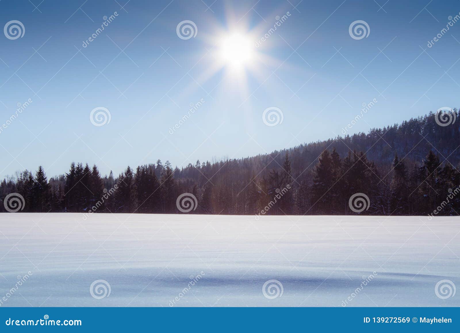 Snowy Plain with Pine Tree Forest Background Stock Image - Image of ...