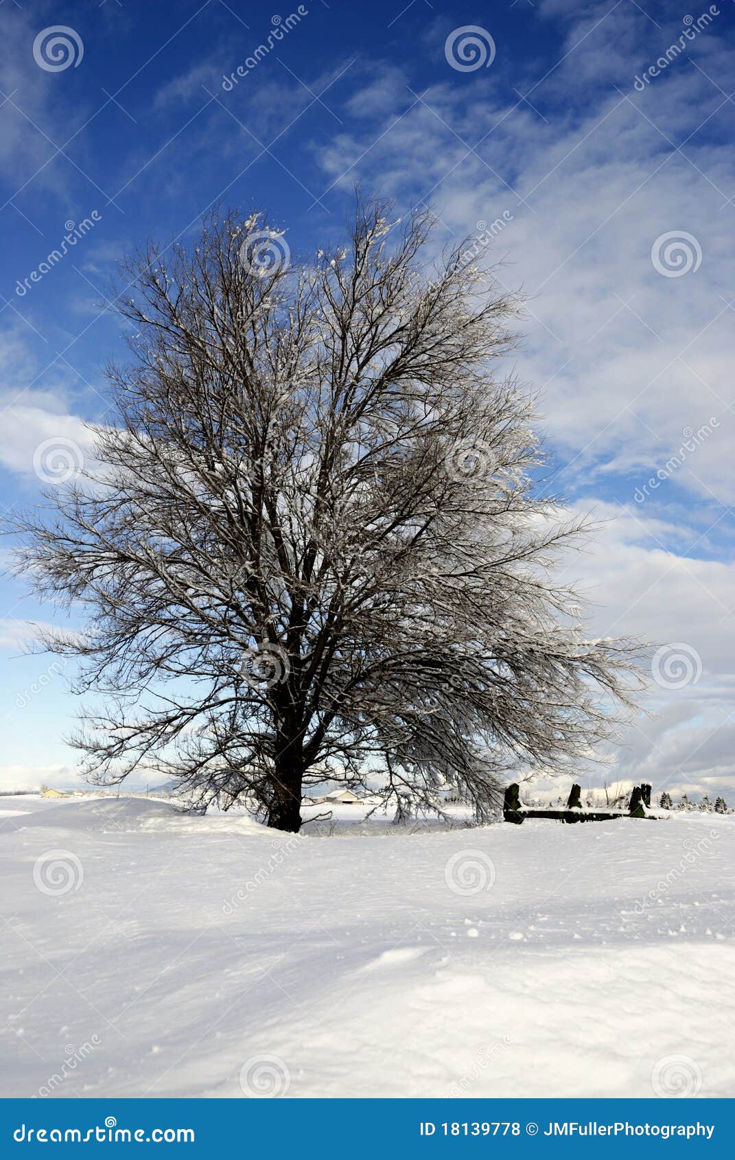 Snowy Prairie Scene stock photo. Image of north, landscape - 18139778