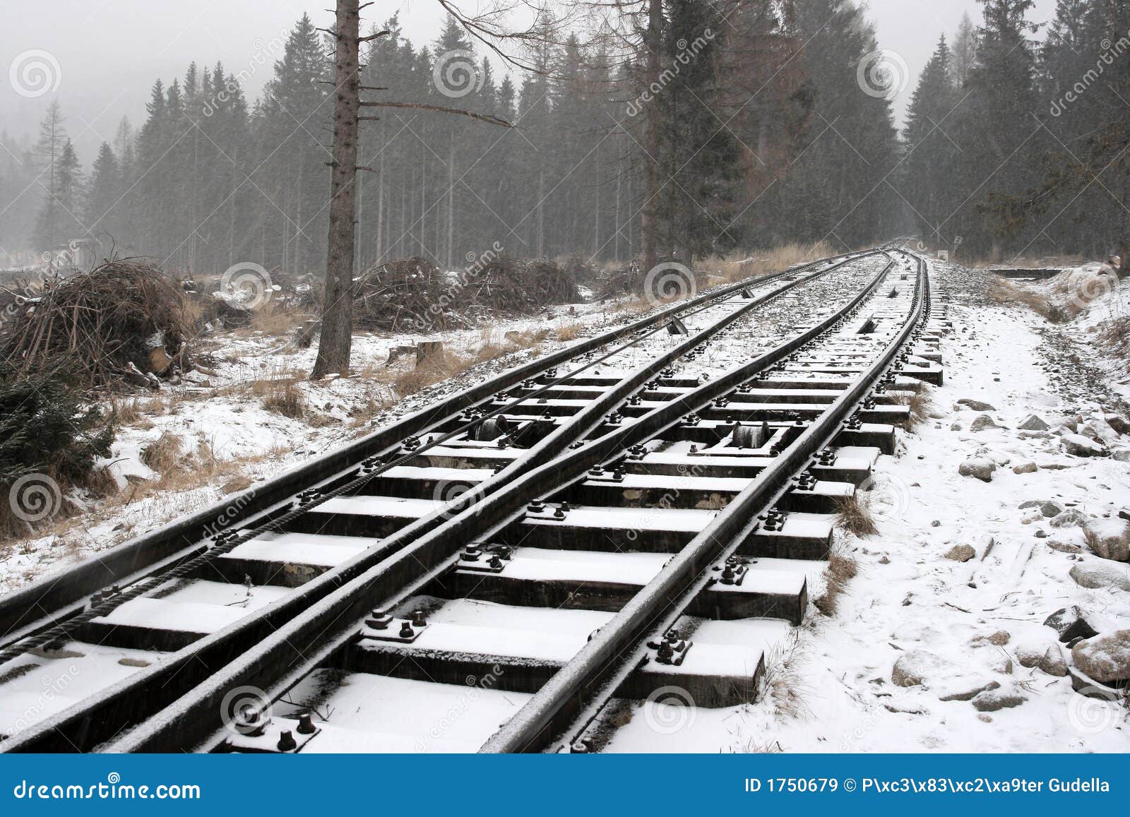 Snowy rails stock image. Image of nature, cool, freeze - 1750679