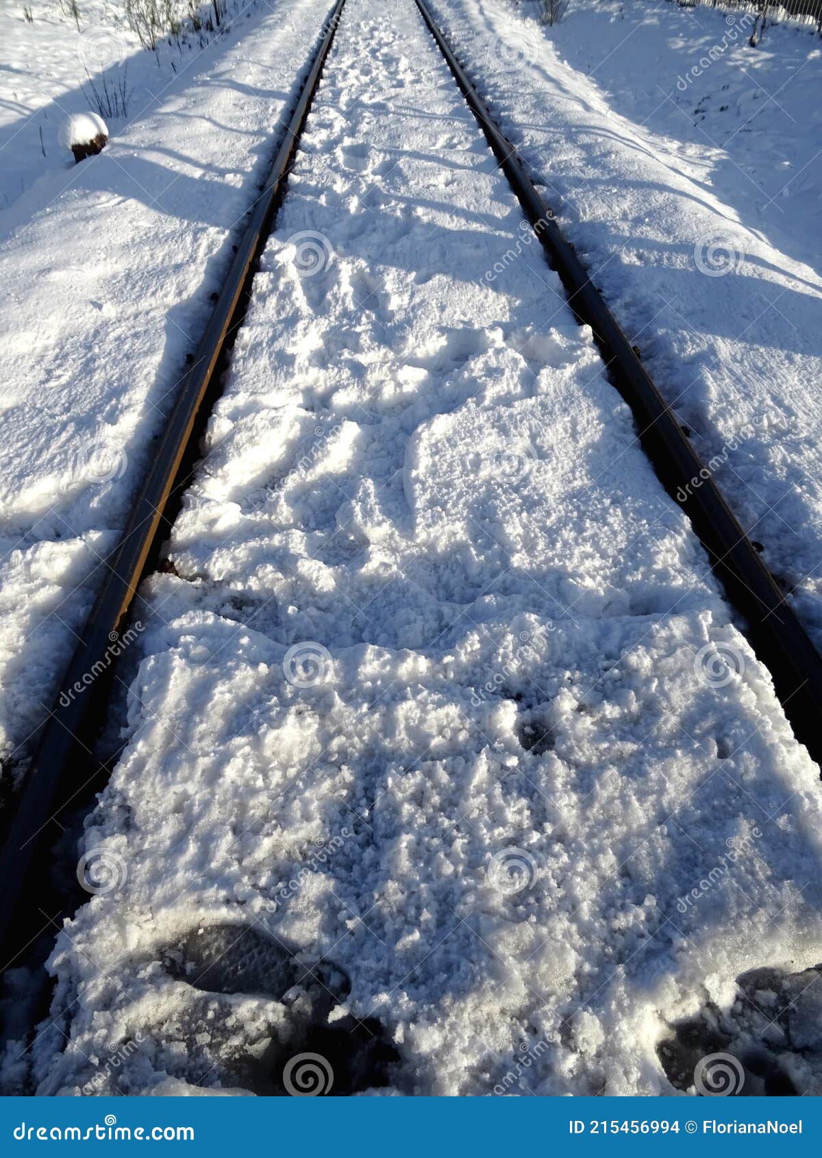 A snowy railway stock photo. Image of sunlight, lines - 215456994