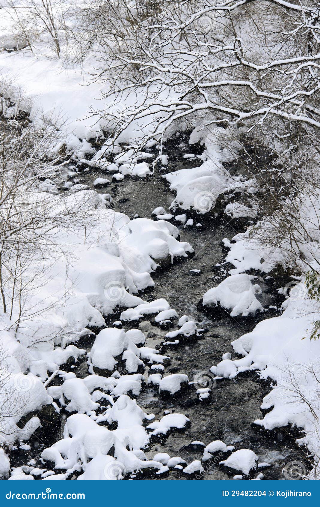 Snowy River stock photo. Image of snow, tree, bodies - 29482204
