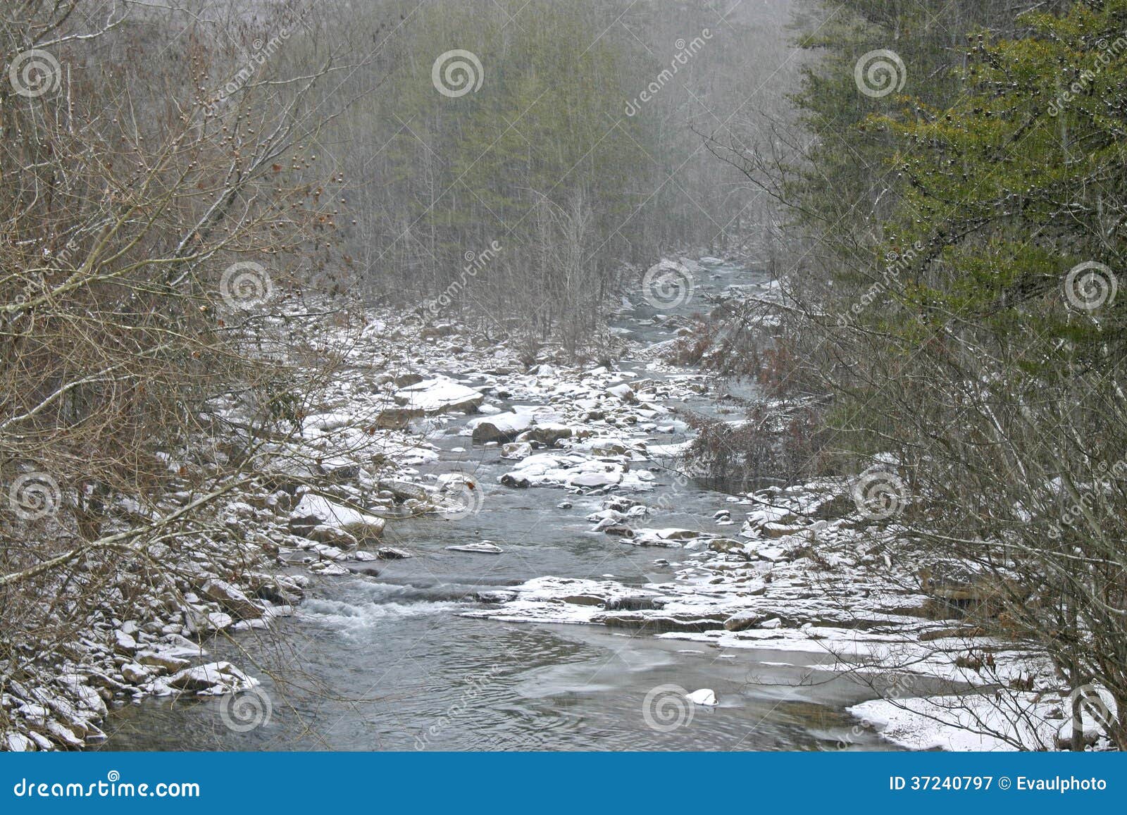 Snowy River stock image. Image of creek, brook, river - 37240797