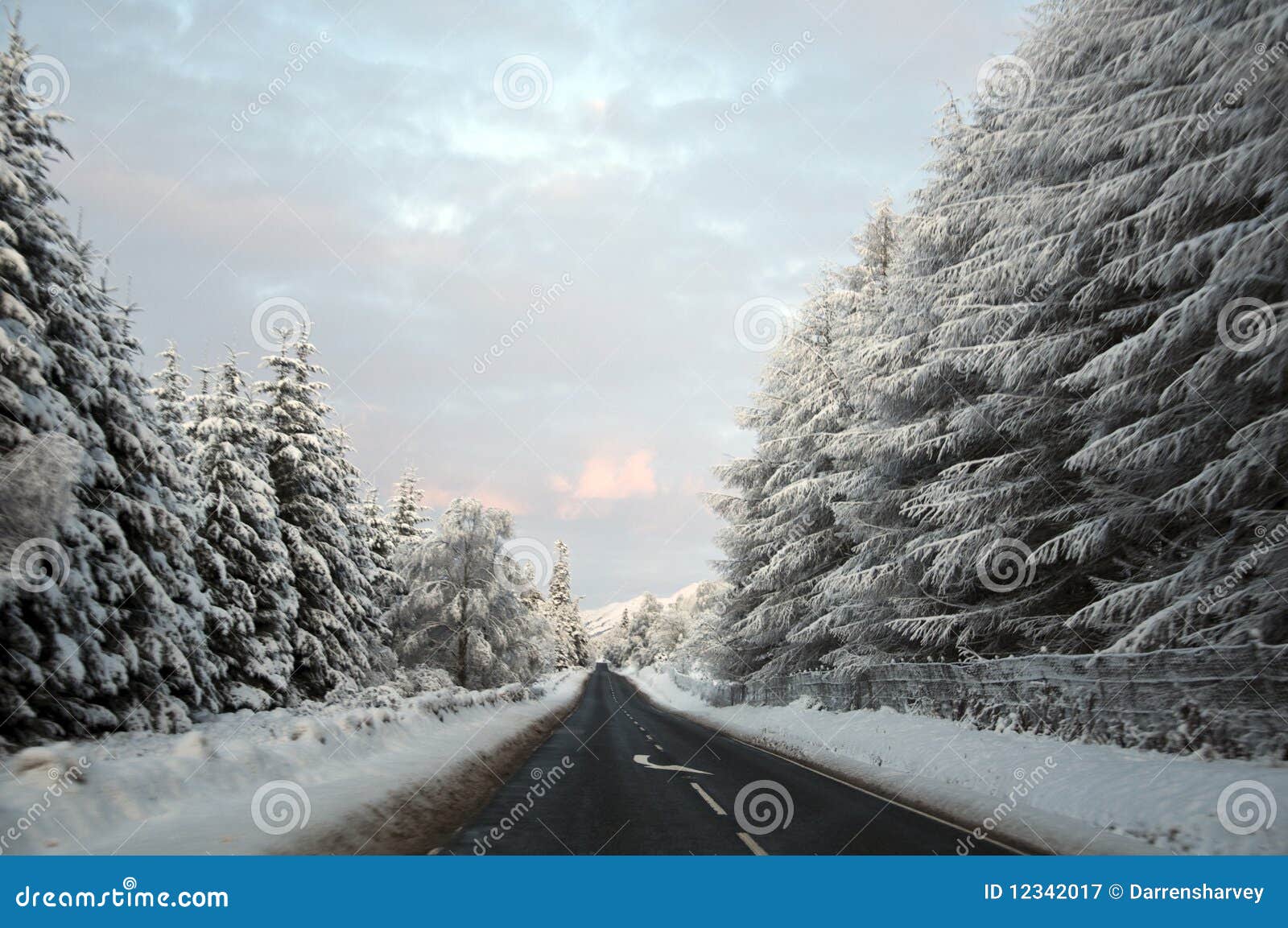 Snowy road stock image. Image of drive, countryside, highway - 12342017