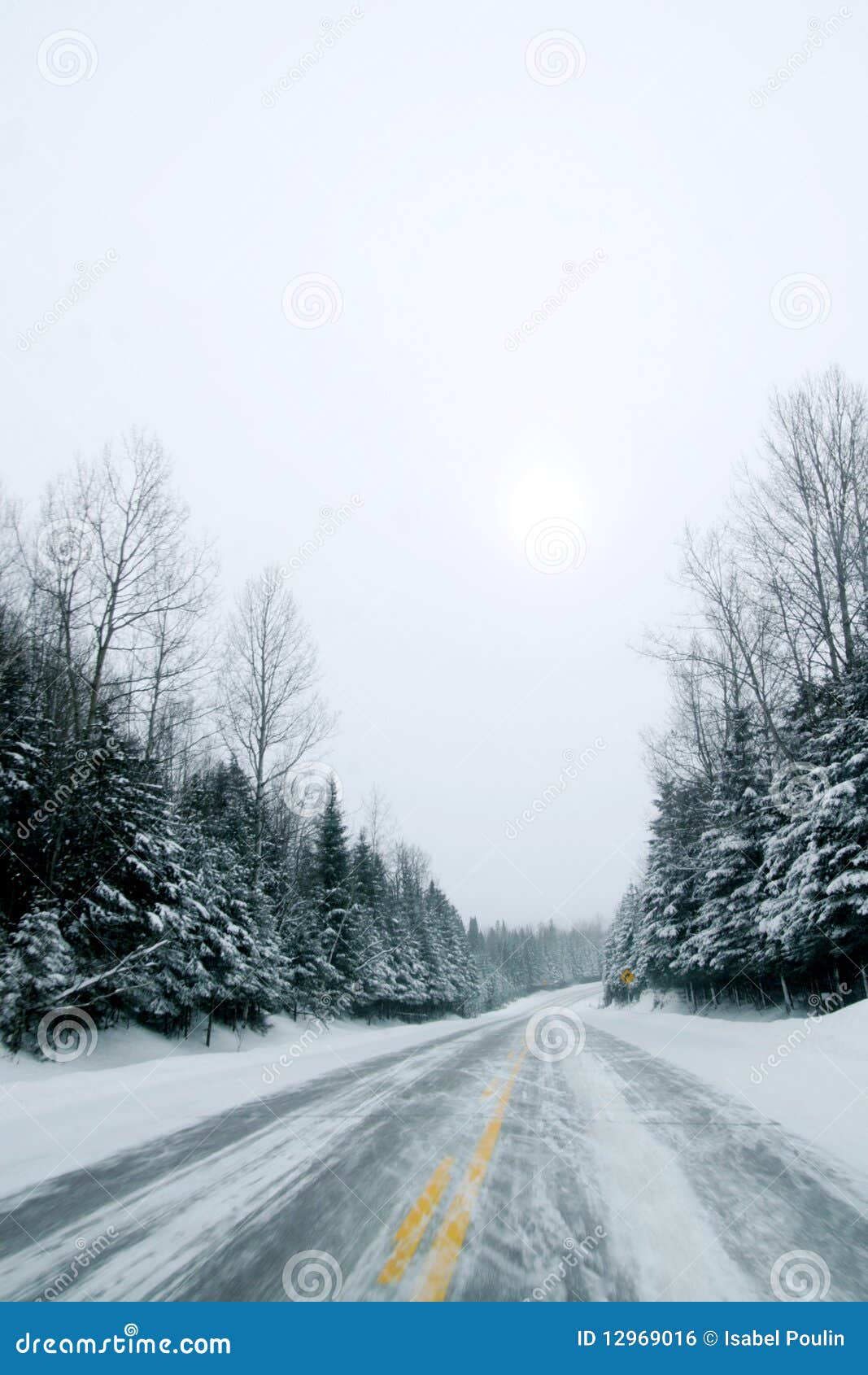 Snowy road stock photo. Image of canada, frosty, peaceful - 12969016