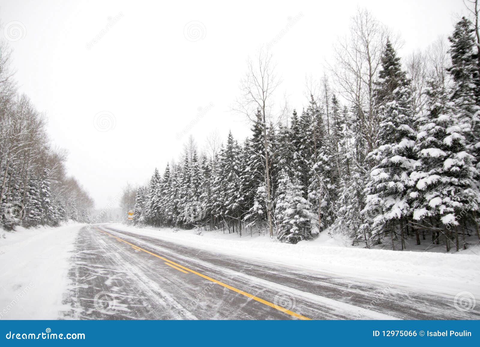Snowy road stock photo. Image of forest, trees, road - 12975066