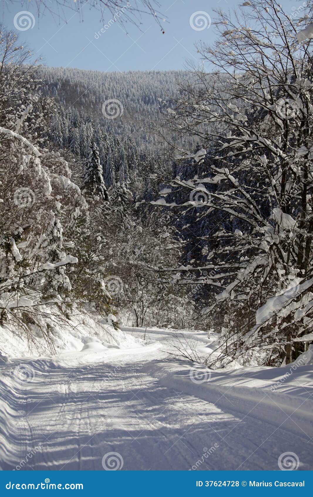 Snowy road stock photo. Image of destination, sunny, remote - 37624728