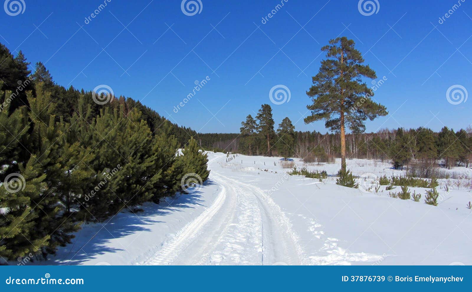 Snowy road stock image. Image of ease, white, serenity - 37876739